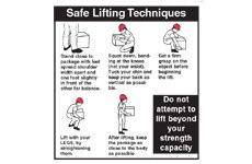 Safe Lifting Techniques Labels (Black/Red on White; 10" H x 10" W ...