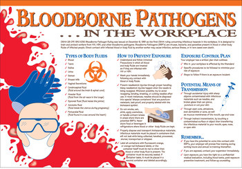 Brady 105623 Bloodborne Pathogens Sign, 29 in x 20 in | RSHughes.com