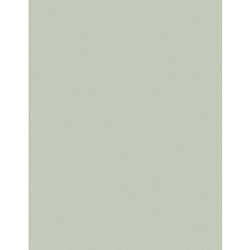 3M 262X Lapping Film Sheet 14247, Aluminum Oxide, 8 1/2 in x 11 in, 1 ...