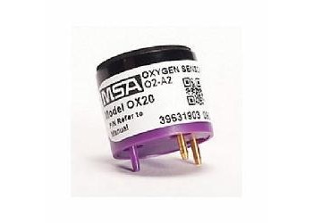 MSA Replacement Sensor 10089163 | RSHughes.com