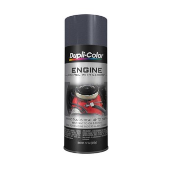 Dupli Color Paint EDE165107 High Gloss Cast Coat Iron 16 oz RSHughes