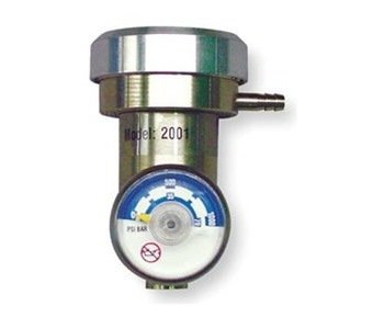 BW Technologies Demand flow regulator REG-DF-1 | RSHughes.com